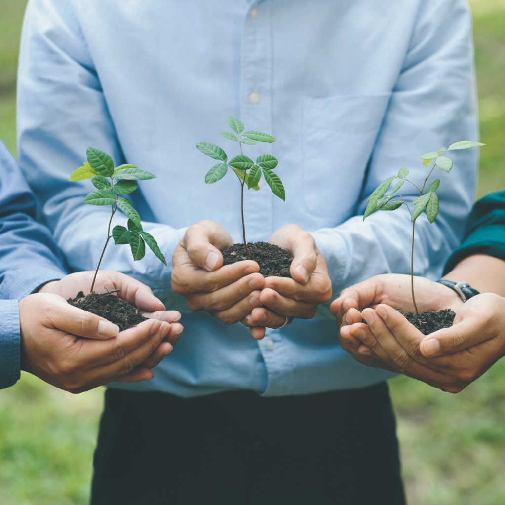 Explore our range of short online courses for adults | LMP