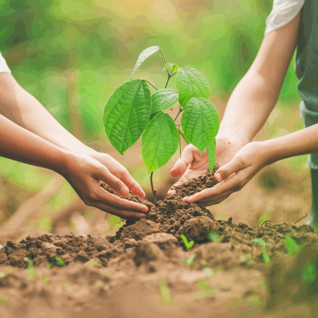 LMP Group promotes environmental sustainability through “Trees ...